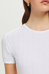 Pointelle Tee | Delicate Texture & Effortless Comfort – Goldie Tees